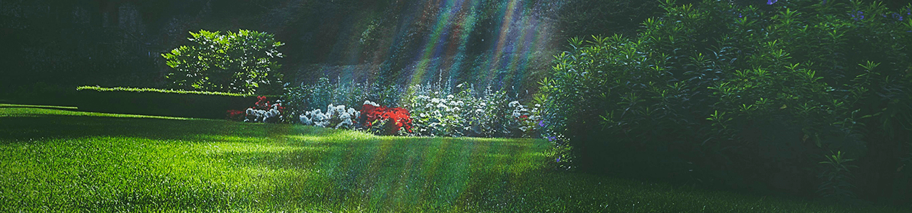 How Bio-Nutrients Fill the Gaps of Fertilization - Nexgreen